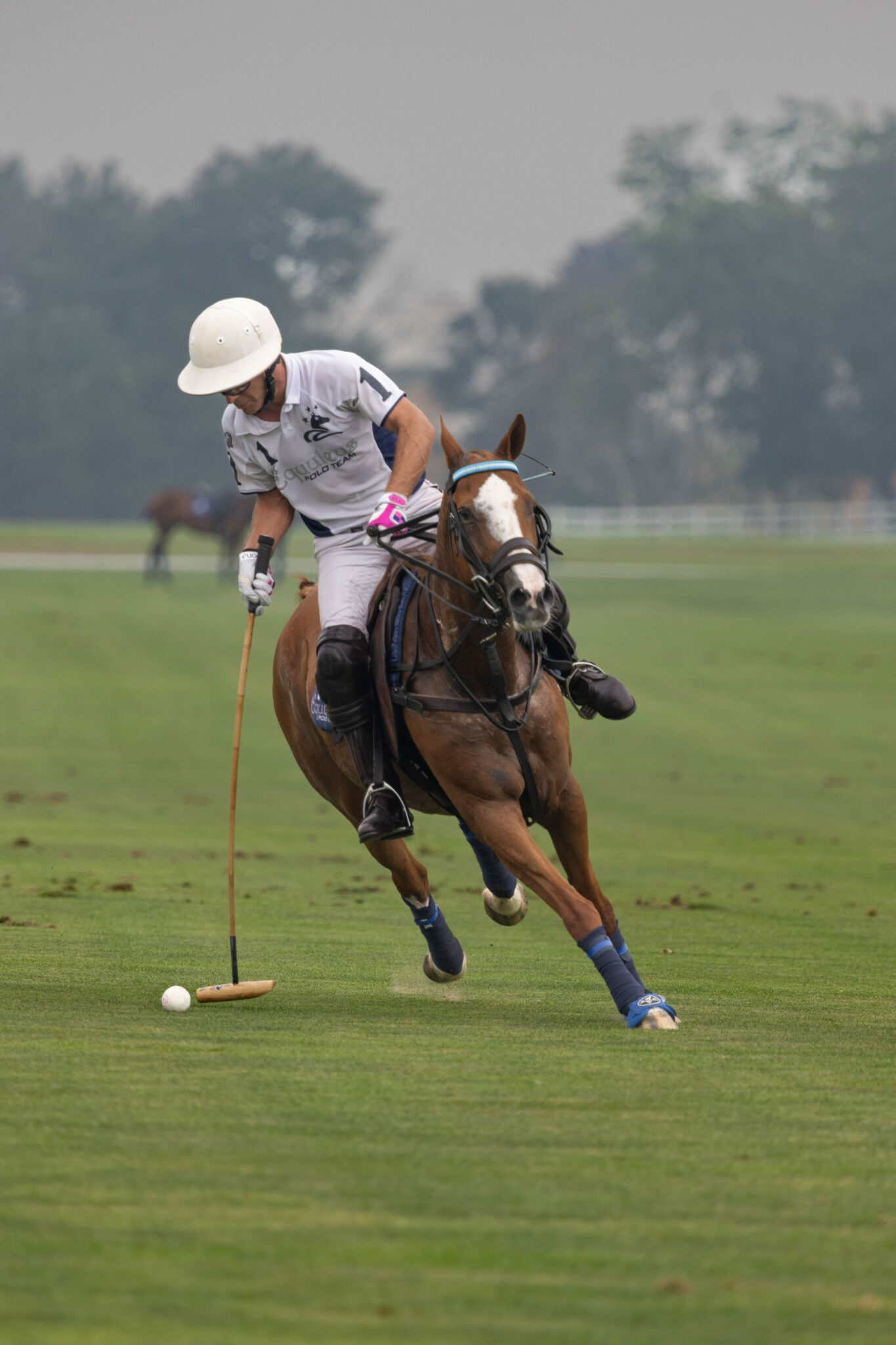 EQUULEUS EARNS INAUGURAL NATIONAL GENERAL GEORGE S. PATTON JR. CUP TITLE | U.S. POLO ASSN.