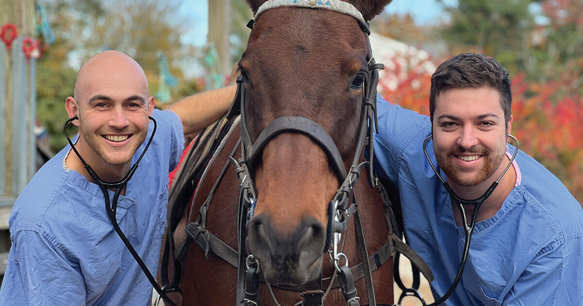 PARTICIPATE IN A RESEARCH STUDY ANALYZING INJURIES IN NORTH AMERICAN ...