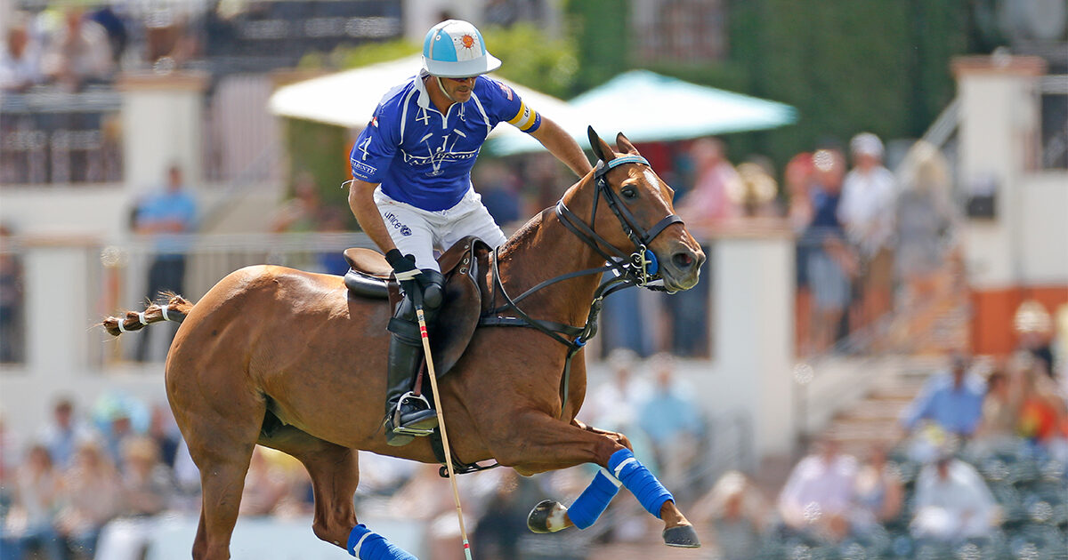 TEAM PROFILE: SCONE | U.S. POLO ASSN.