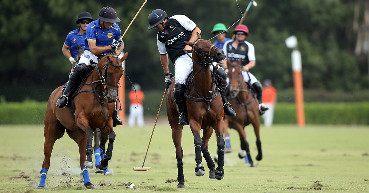 PLAYER PROFILE: MARIANO OBREGON JR. | U.S. POLO ASSN.