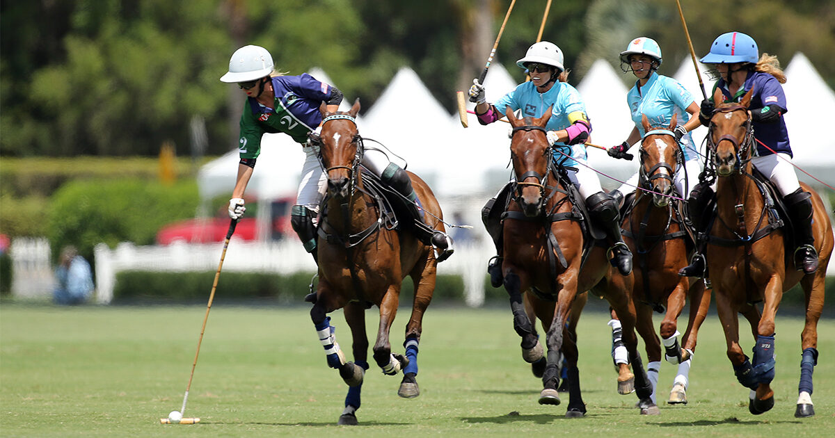 A GEM OF A POLO PONY: RUBY’S JOURNEY TO AN EXCLUSIVE STRING | U.S. POLO ...