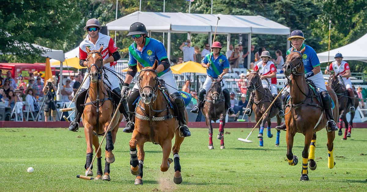 USPA ASSISTS CHICAGO POLO ASSOCIATION TO LAUNCH COOPERATIVE EFFORT | U ...