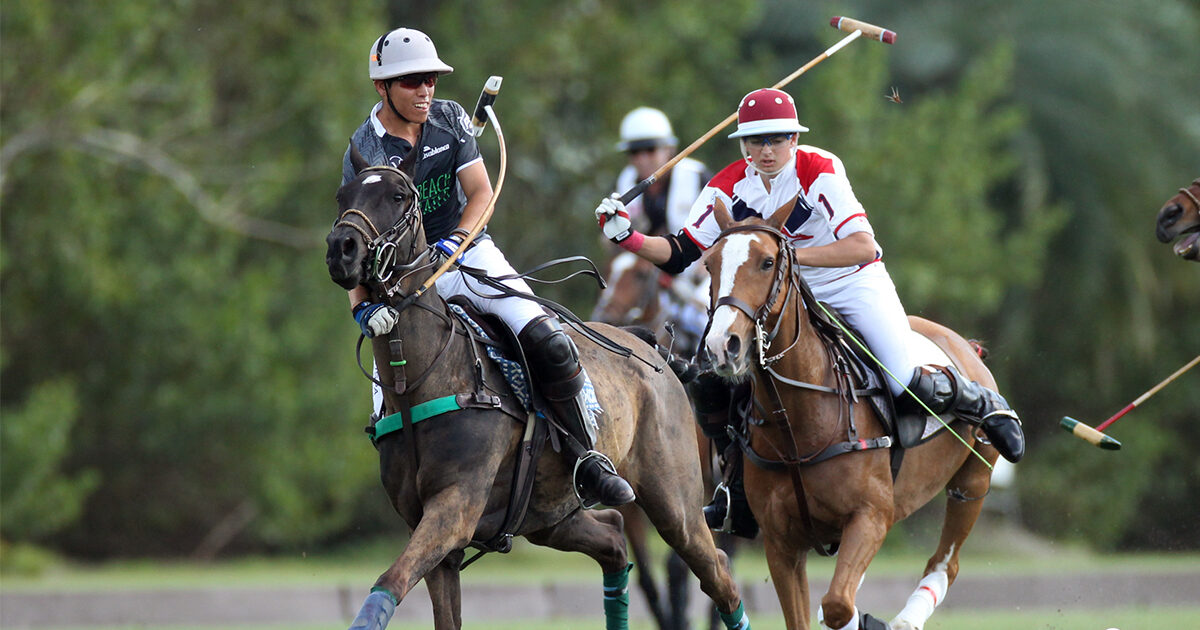 YOUNG PLAYERS COMMITTEE: STRATEGIC DIRECTION FOR THE FUTURE OF YOUNG ...