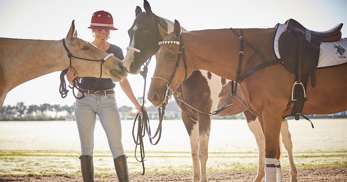 SUPPORT THE SPORT THAT WE ALL LOVE BY DONATING TO A POLO ORGANIZATION ...