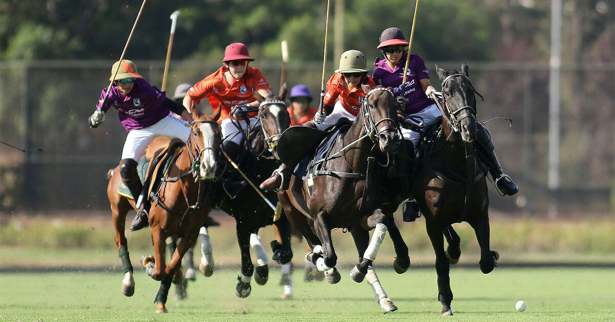AMERICAN INTERNATIONAL POLO FOUNDATION SEEKS HOST CLUB FOR JUNIOR ...