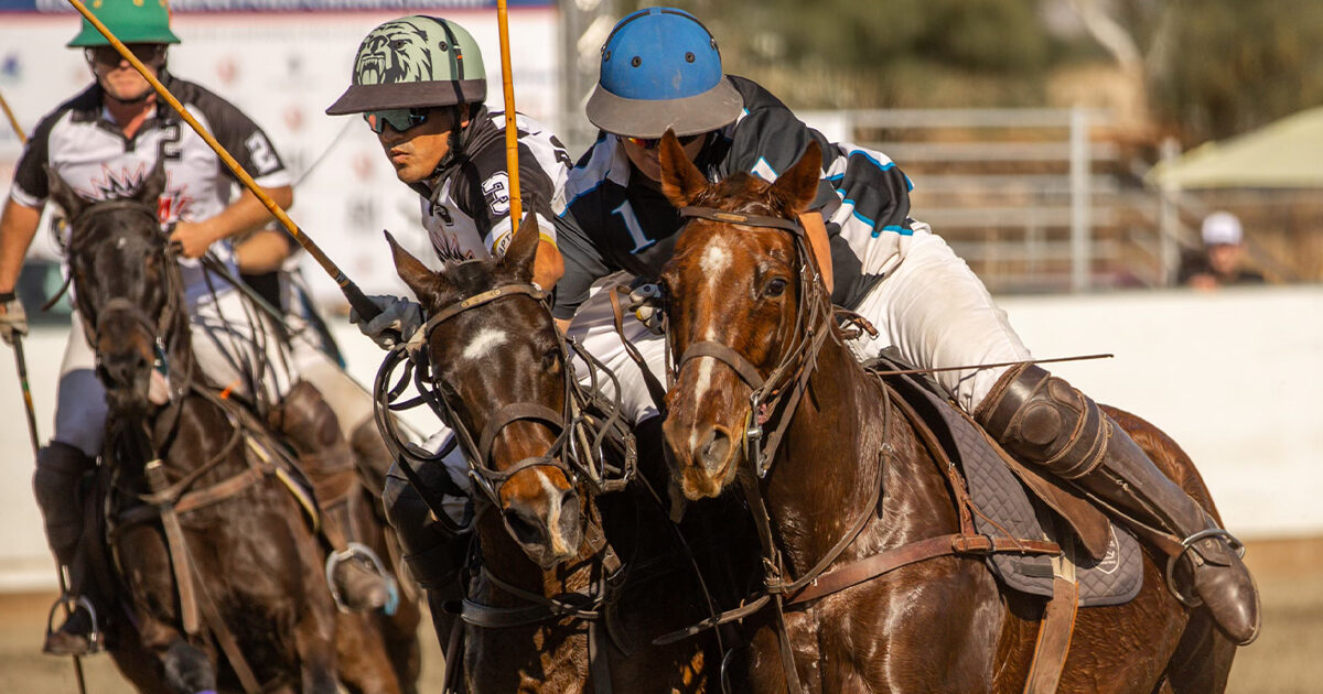 NEW U.S. ARENA POLO CHAMPIONSHIP DATES ANNOUNCED: CLAIM YOUR SPOT AND ...
