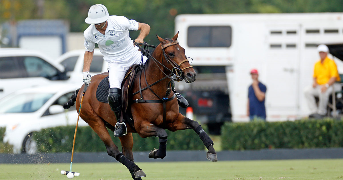 Ylvisaker Cup | U.S. POLO ASSN. (en-US)