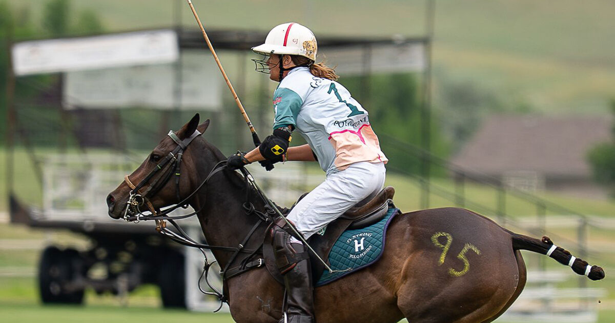 A NEW CHAPTER IN AMERICAN POLO HORSE BREEDING – AN ARTICLE BY ...