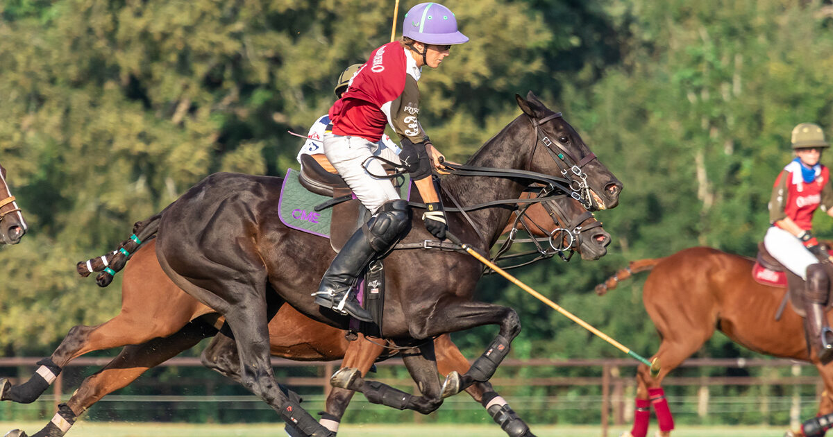 H. BEN TAUB MEMORIAL | U.S. POLO ASSN.