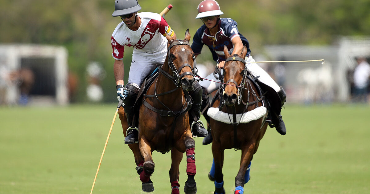 TAMERA AND PILOT ADVANCE TO THE SEMIFINALS OF THE USPA GOLD CUP® | U.S ...