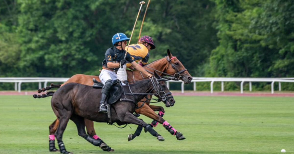 CHETAN KRISHNA & DRACARYS BREATHES NEW FIRE INTO MB POLO CLUB – AN ...
