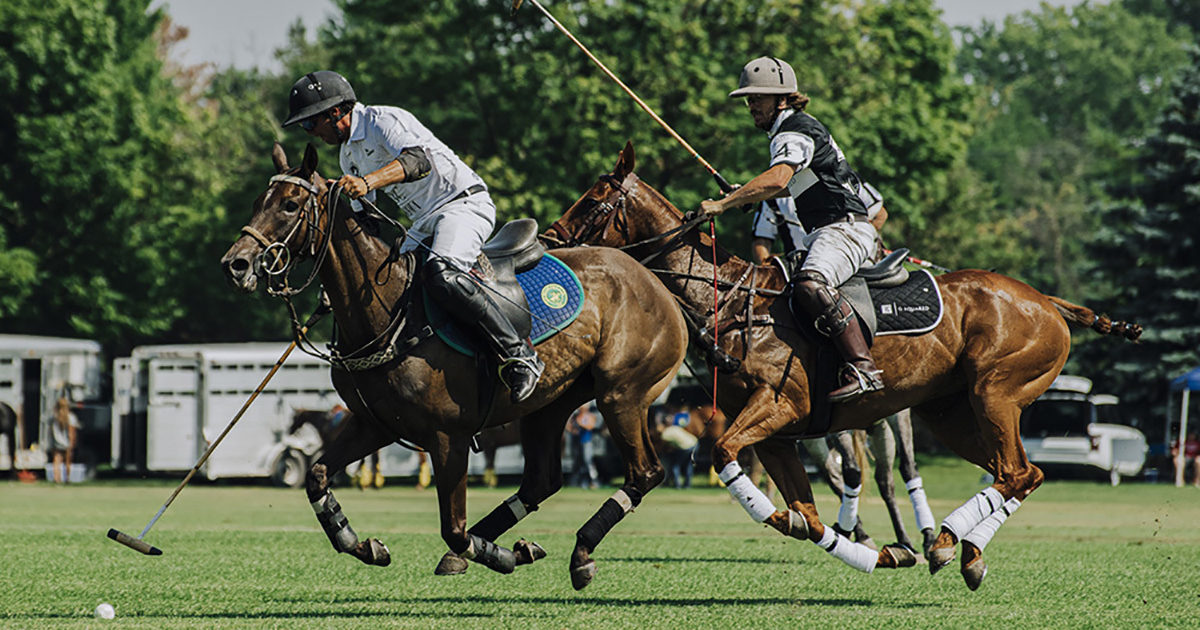 CHICAGO POLO ASSOCIATION SHOWS EXPONENTIAL IMPROVEMENT IN SECOND YEAR ...