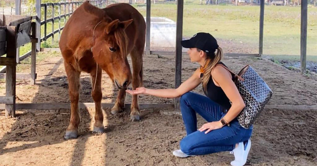 GOVERNOR-AT-LARGE PAMELA FLANAGAN SEEKS TO PRESERVE THE MANIPURI PONY ...