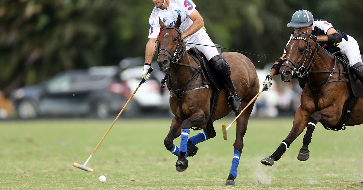 A SOLID INVESTMENT: TOMAS GARCIA DEL RIO’S CALI MARINO | U.S. POLO ASSN.