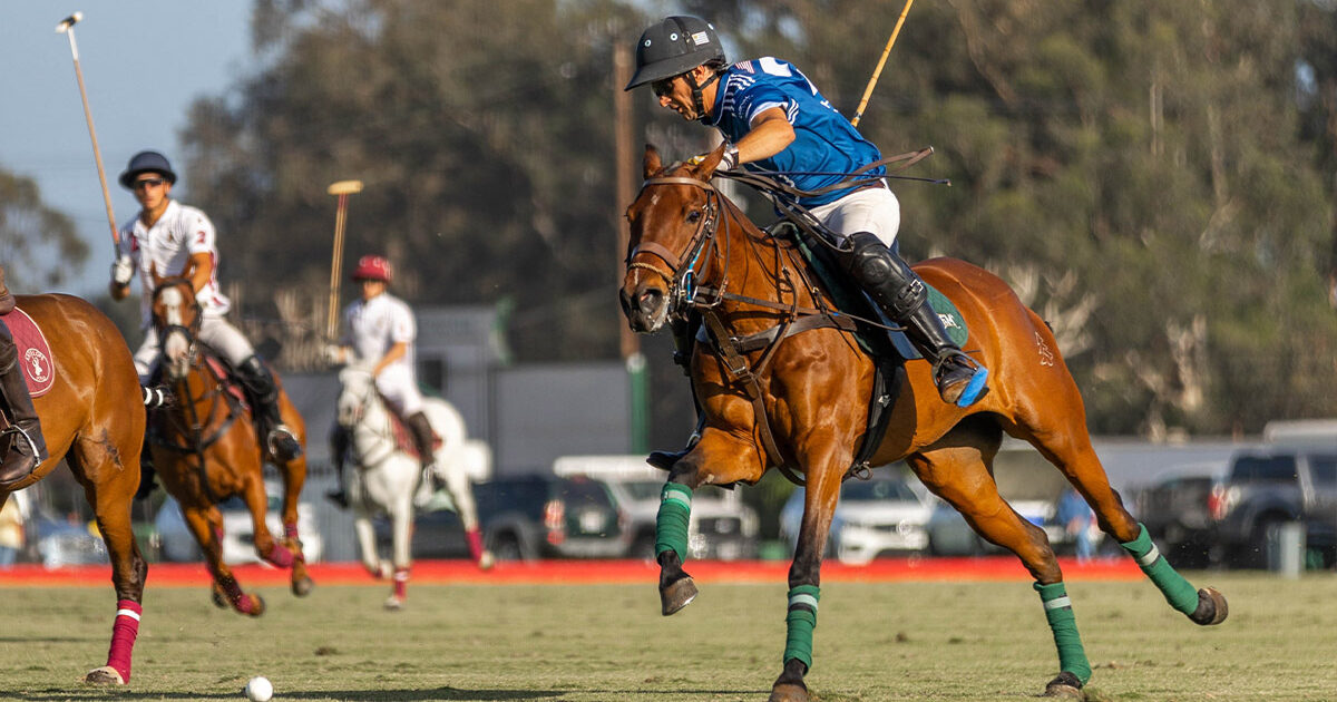 REGIONAL PRESIDENT'S CUP | U.S. POLO ASSN.