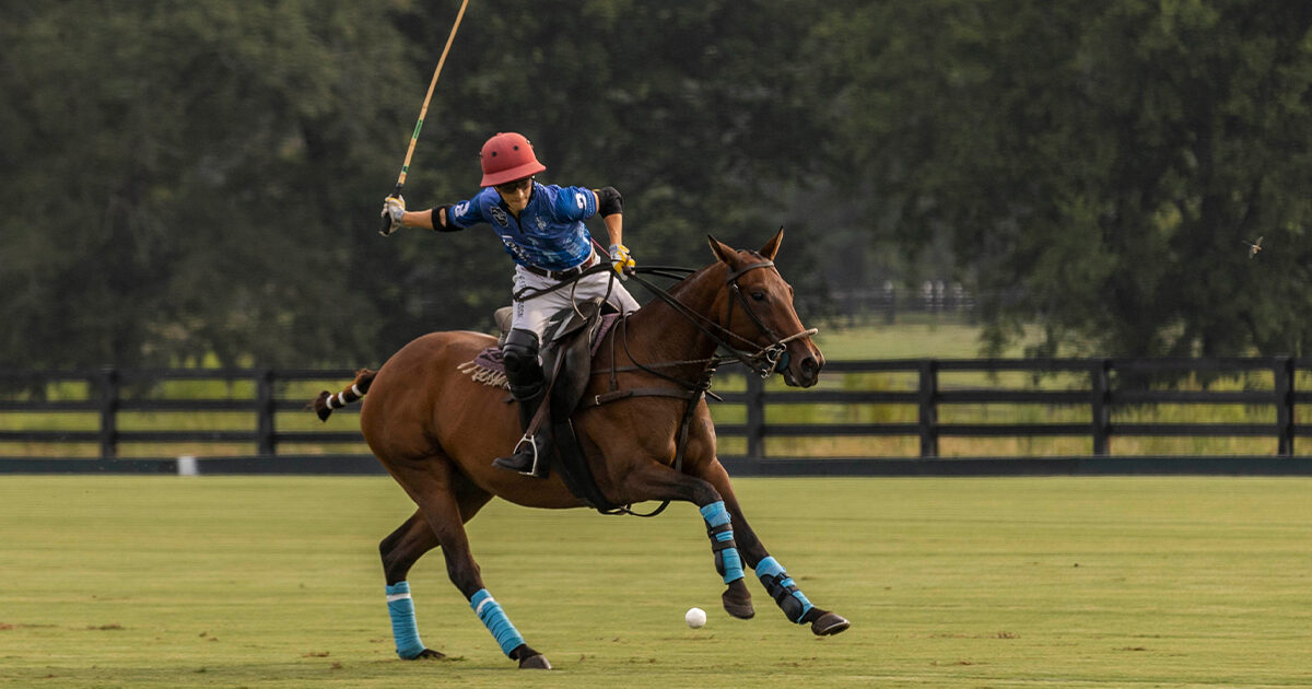 FROM FLORIDA TO ARGENTINA: HARRISON REICHER'S POLO JOURNEY - AN ARTICLE BY CLICKPOLOUSA | U.S ...