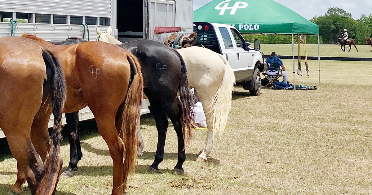 POINT CLEAR POLO CLUB FIRST TO UTILIZE TOURNAMENT STIMULUS PACKAGE | U ...