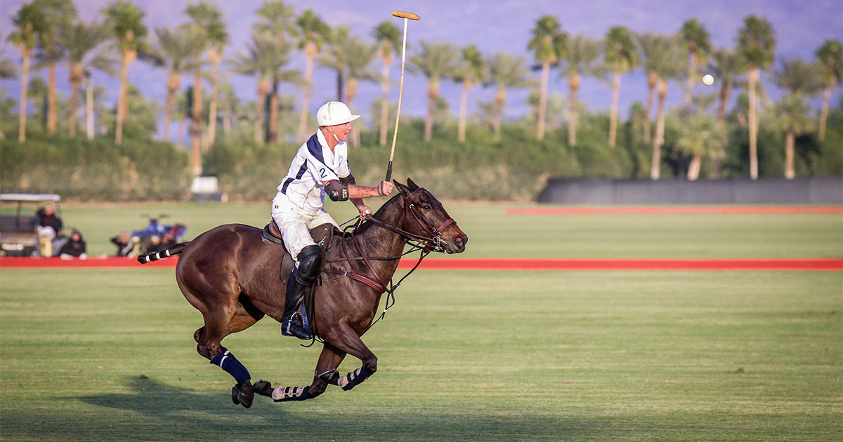 FULL BARNS & QUALITY POLO AT ELDORADO POLO CLUB - AN ARTICLE BY ...