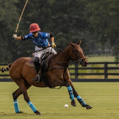 FROM FLORIDA TO ARGENTINA: HARRISON REICHER'S POLO JOURNEY - AN ARTICLE ...