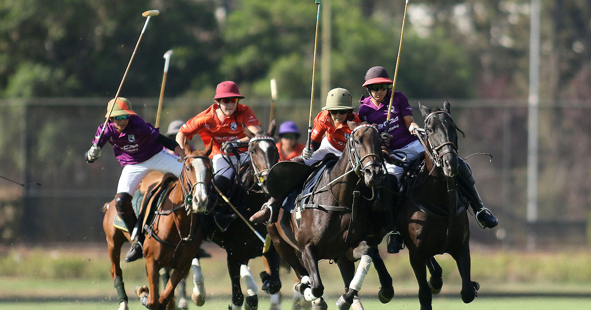 AIPF ACCEPTING DONATIONS TO FURTHER AMATEUR INTERNATIONAL POLO ...