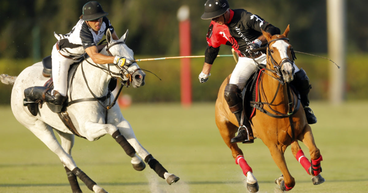 Uspa High Goal Committee Elections Now Open Us Polo Assn