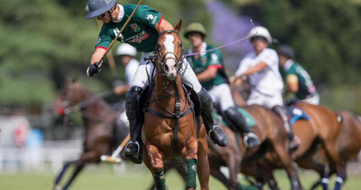 U.S. POLO ASSN. AND THE UNITED STATES POLO ASSOCIATION ANNOUNCE ...