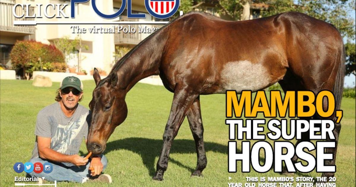 MAMBO, THE SUPER HORSE - AN ARTICLE BY CLICKPOLOUSA | U.S. POLO ASSN.