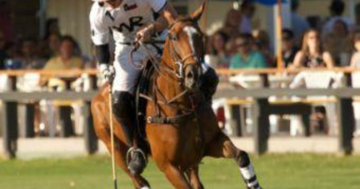 2016 USPA SOUTHWESTERN REGIONAL CLASSIC AT HOUSTON POLO CLUB | U.S ...