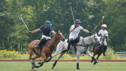United States Polo Association® | U.S. POLO ASSN.