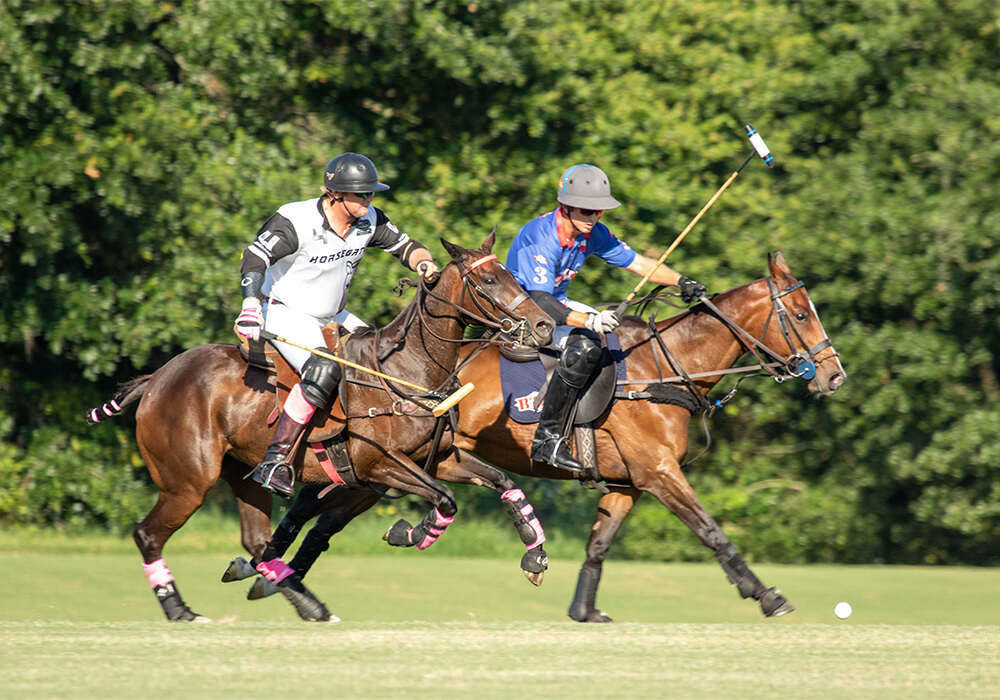 HOUSTON POLO CLUB PREPARES FOR 2020 FALL LEAGUE | U.S. POLO ASSN.