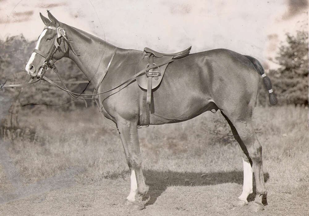 2026 MUSEUM OF POLO AND HALL OF FAME INDUCTEES ANNOUNCED | U.S. POLO ASSN.