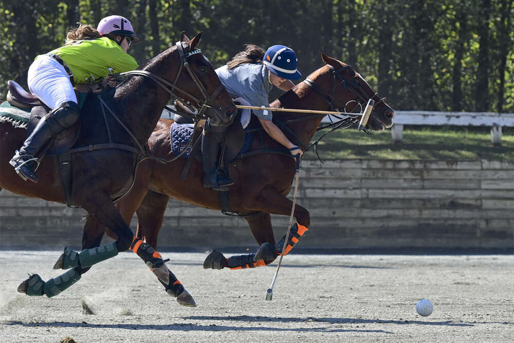 MARLAN FARM AND DRUMCLIFFE EMERGE VICTORIOUS IN USPA WOMEN’S ARENA OPEN ...