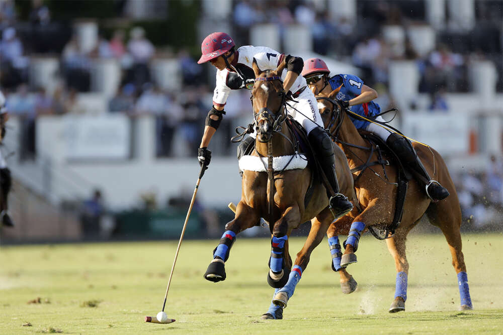DUTTA CORP DOMINATION OUTLASTS PATAGONES EARNING 2019 JOE BARRY CUP | U ...