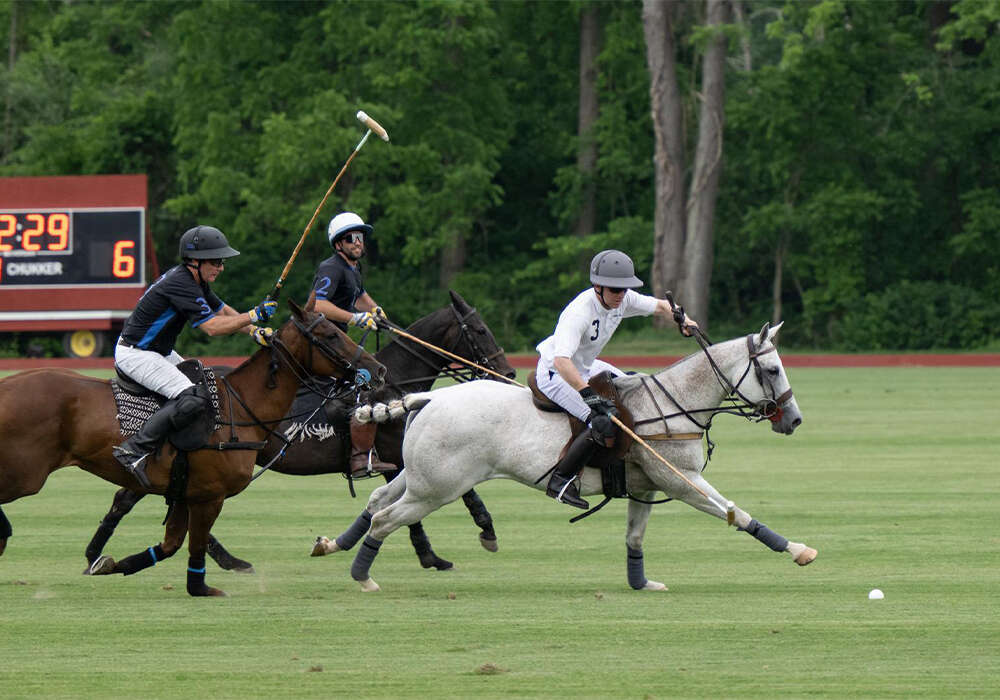 FROM BLACK BEARS TO USPA TOURNAMENTS, THE STORY OF GRAYFIELDS POLO CLUB ...