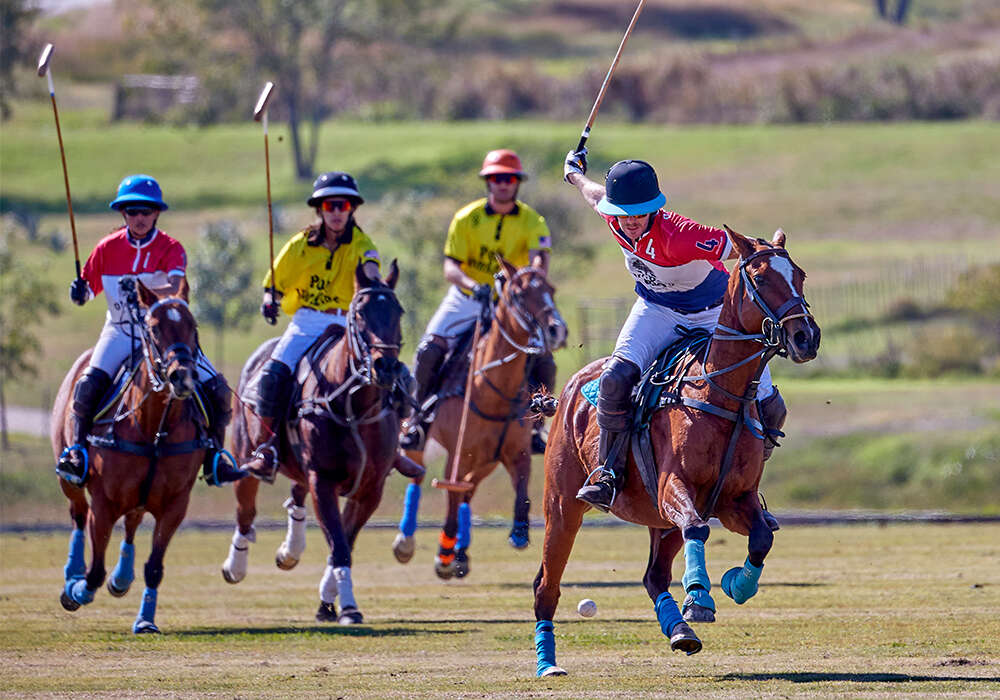 OAK BEND FARM DOMINATE IN SOUTHWESTERN CIRCUIT SPORTSMANSHIP CUP | U.S ...