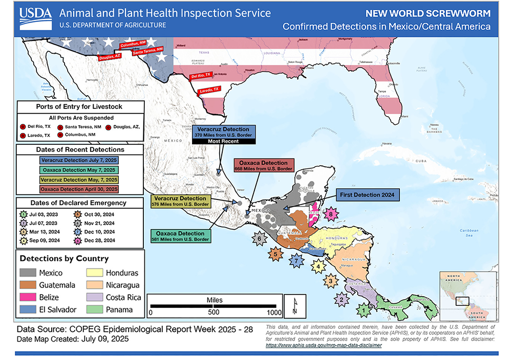NEW WORLD SCREWWORM SPREAD THREATENS U.S. LIVESTOCK POPULATION: WHAT IT ...