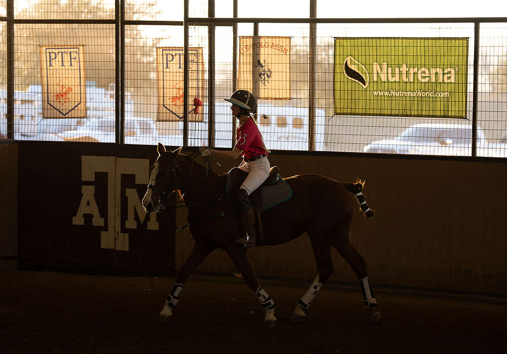 GROWING THE GAME: TEXAS ARENA LEAGUE’S THRIVING B AND C-FLIGHTS | U.S ...