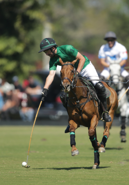 MAX STEVENS, A CHAMPION BEYOND THE SPOTLIGHT - AN ARTICLE BY ...