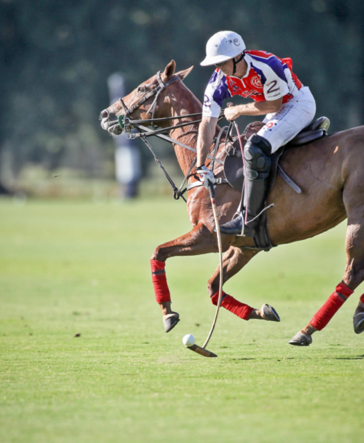 TEAM USPA MAKES GREAT EFFORT IN ALL PRO POLO LEAGUE TEST MATCH | U.S ...