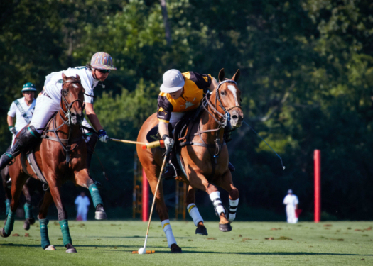 RESULTS FROM THE FIRST DAY OF GAMES IN THE 2016 EAST COAST OPEN | U.S ...