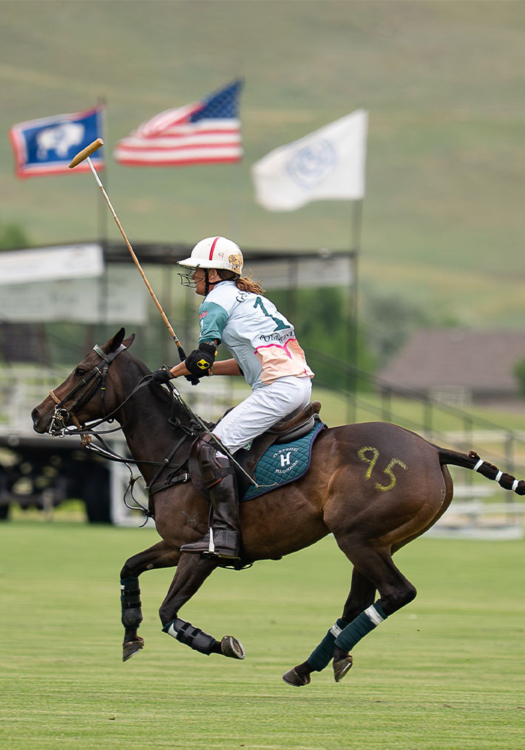 A NEW CHAPTER IN AMERICAN POLO HORSE BREEDING – AN ARTICLE BY ...