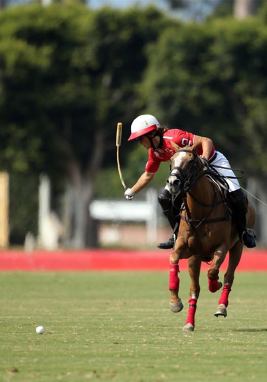 2025 FALL LINEUP: SANTA CLARA POLO CLUB TO HOST REGIONAL PRESIDENT’S ...