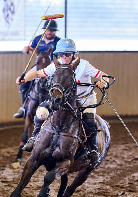 UNITED STATES POLO ASSOCIATION ANNOUNCES LAUNCH OF NEW DIGITAL ...