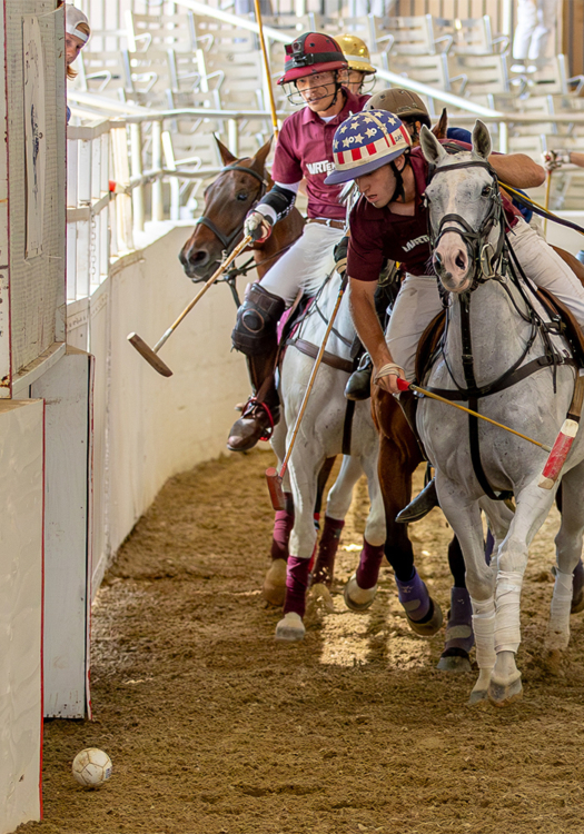 BACK IN THE ARENA: PCAL CONTINUES POLO LEGACY AT THE LOS ANGELES ...