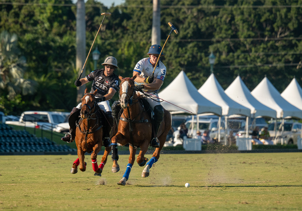 NATIONAL TWENTY GOAL® | U.S. POLO ASSN.