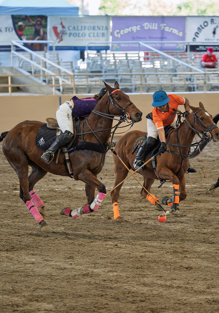 U.S. OPEN ARENA POLO CHAMPIONSHIP® PRESENTED BY U.S. POLO ASSN. | U.S ...