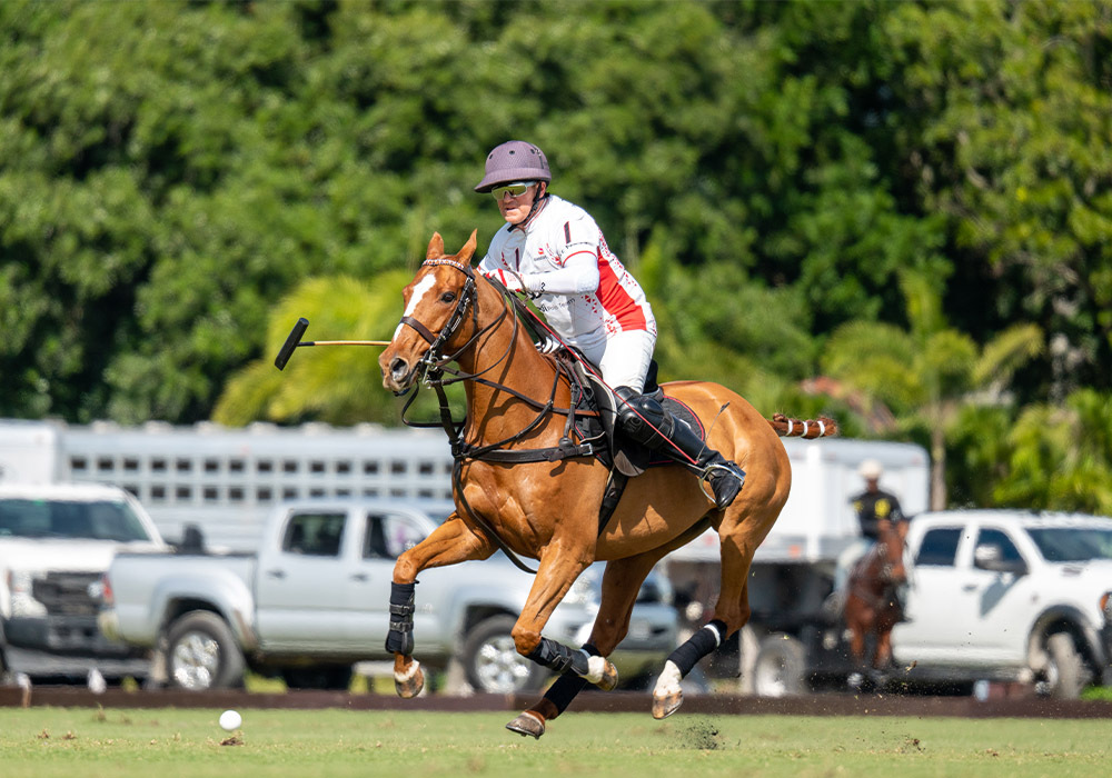 NORTH AMERICAN CUP® | U.S. POLO ASSN.