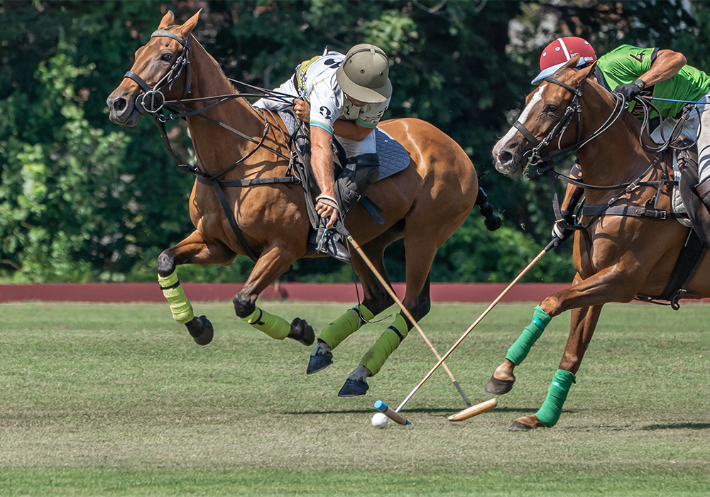 CHAIRMAN'S CUP | U.S. POLO ASSN.