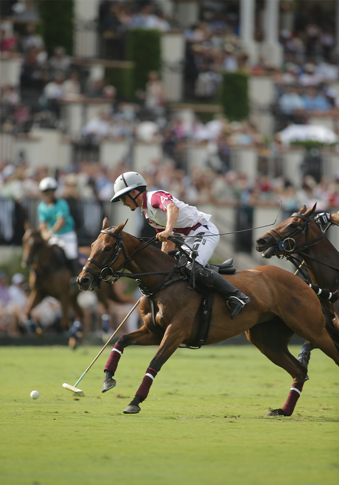 U.S. OPEN POLO CHAMPIONSHIP® | U.S. POLO ASSN.