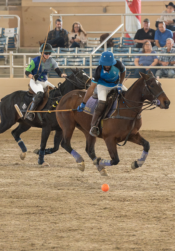 UNITED STATES ARENA HANDICAP® | U.S. POLO ASSN.